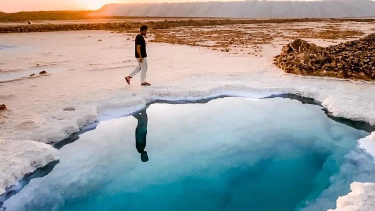 Best Travel Agency Kochi | Visa Agent | VFS Cochin | Book Flight